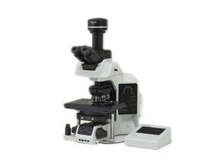 【奥林巴斯 BX63】(OLYMPUS BX63)报价_图片_参数_评测_论坛_奥林巴斯 BX63显微镜报价-天极产品库